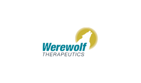 Werewolf Therapeutics, Inc. (HOWL) | MPM BioImpact